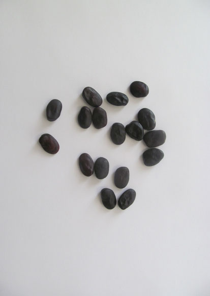 Exercise of Atention "Count the Beans"