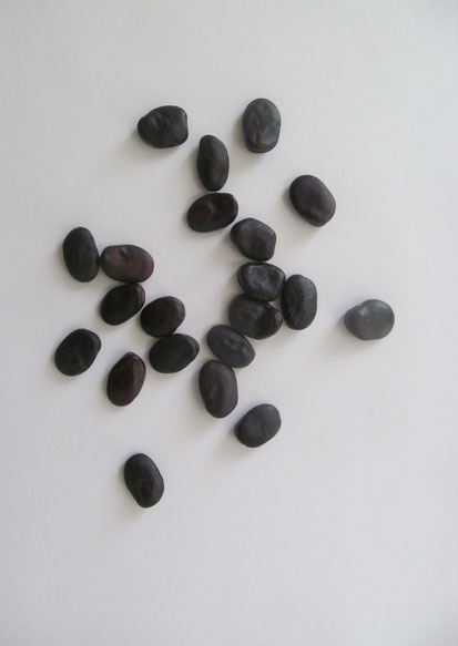 Exercise of Atention "Count the Beans"