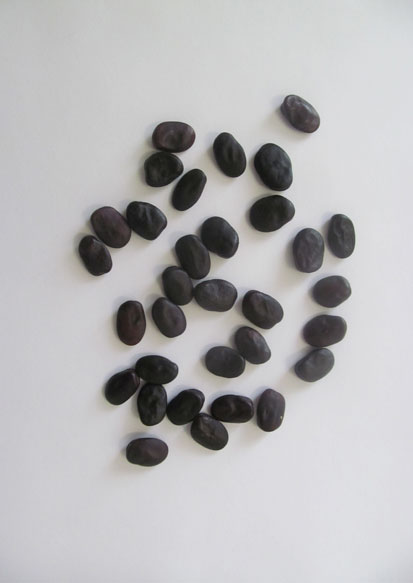 Exercise of Atention "Count the Beans"