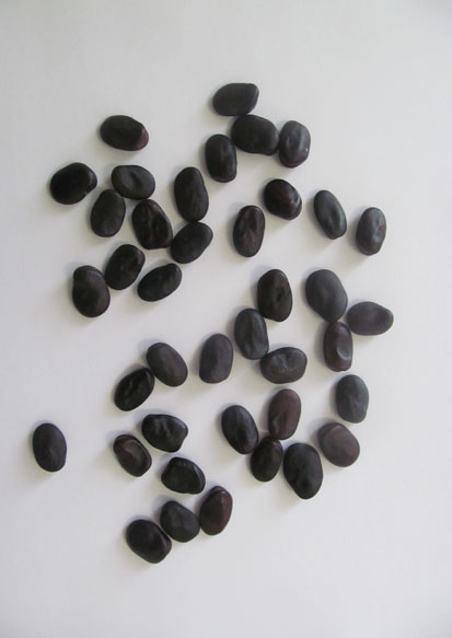 Exercise of Atention "Count the Beans"